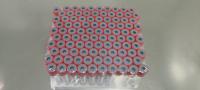 China Vacuum Blood Collection Tubes 100 Pcs PET 1-4 ml for Veterinary Lab Use for sale