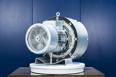 China Industrial Aerator Blower for Effective Aeration in Municipal and Industrial Wastewater Treatment Plants for sale