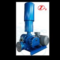 China Industrial Strength Roots Vacuum Pump for Heavy Duty Applications in Harsh Conditions for sale