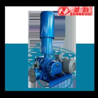 China High Performance Roots Vacuum Pump For Industrial Environments Max Vacuum -44kpa for sale