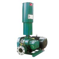 China SSR Roots Vacuum Pump Roots Booster Vacuum Pump For Mission Critical Processes for sale