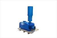 China Robust Design And Aerodynamic Optimization SSR Industrial Roots Vacuum Pump Suitable For Harsh Environments for sale