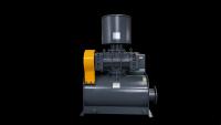China Intelligent Roots Blower Vacuum Pump For Optimal Performance And Energy Savings for sale