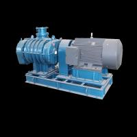 China Advanced Roots Vacuum Pumps for High Vacuum Extraction in Industrial Settings for sale