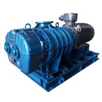 China High Efficiency Roots Blower Vacuum Pump For Continuous Duty Operation for sale