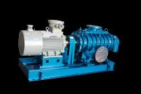 China Variable Speed Modular Roots Vacuum Pump Price For Energy Conscious Facilities for sale