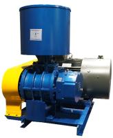 China High-Performance Roots Blower for Consistent and Durable Air Flow in Various Industrial Settings for sale