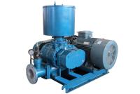 China Industrial Roots Blower for Optimal Performance and Long-Term Operations for sale