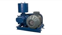 China Heavy-Duty Roots Blower for High-Volume and Demanding Industrial Environments for sale