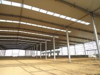 China High Strength Steel Structure Workshop - Q235B/Q355B Steel, Custom Industrial Building Solutions with 30-55 Day Delivery for sale