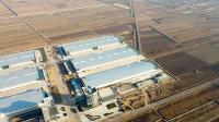 China Durable Steel Frame Building for Warehouse Workshop Plant Q355 H Section Column for sale