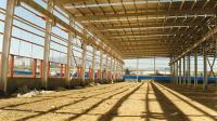 China Q235 Q355 Pre-Engineered Steel Building for Industrial & Commercial Use - Custom Clear-Span Design with H-Section Steel Framework for sale