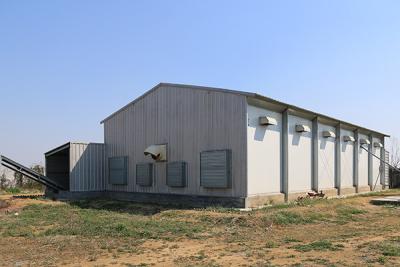 China Q355B Pre-Engineered Steel Poultry House with 50-100mm Insulation and H-Section Frame for Broiler and Layer Operations for sale