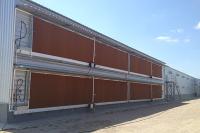 China Q355B Pre-Engineered Steel Poultry House with 50-100mm Insulation and H-Section Frame for Broiler and Layer Operations for sale