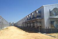 China Custom Steel Frame Poultry House Q235/Q355B H-Section Structure with 50-100mm Insulation and Custom Dimensions for sale