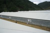 China XGZ Q235B Steel Structure Poultry House with Custom Sizes 50-100mm Insulation Options for sale