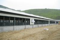 China XGZ Q235B Steel Structure Poultry House with Custom Sizes 50-100mm Insulation Options for sale