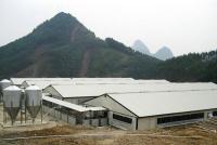 China XGZ Q235B Steel Structure Poultry House with Custom Sizes 50-100mm Insulation Options for sale