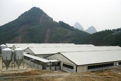 China XGZ Q235B Steel Structure Poultry House with Custom Sizes 50-100mm Insulation Options for sale