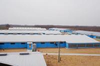 China Galvanized Steel Poultry House Structure with C120-C320 Purlin Sizes and Custom Design Options for sale