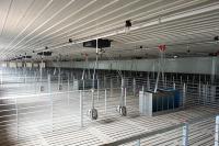 China Galvanized Steel Poultry House Structure with C120-C320 Purlin Sizes and Custom Design Options for sale