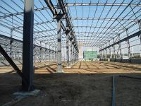 China Heavy Steel Structure Building for Industrial Use - 48m Clear Span with 0.36-0.6mm Steel Panels for sale