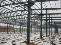 China Heavy Steel Structure Building with H-Section Beams, 60+ Meter Spans, and Custom Industrial Solutions for sale