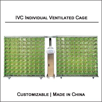 China Individually Ventilated Cage IVC System SPF Grade Mouse Rat Breeding Cages 40 Cage Capacity for sale