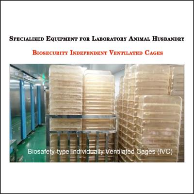 China Fully Stainless Steel IVC Rack Individually Ventilated Cages for Mice 48 Cage Capacity Customizable Rearing System for sale