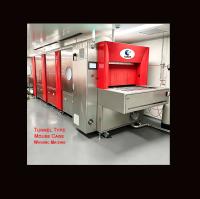 China Tunnel Type Cage Washer Automatic Rodent Cage Washing Machine for SPF Animal Lab for sale