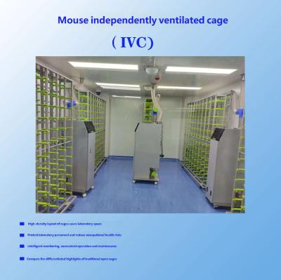 China Large Rat IVC Individually Ventilated Cage System 60 Cage Capacity Transparent Polycarbonate Guinea Pig Rabbit Caging for sale
