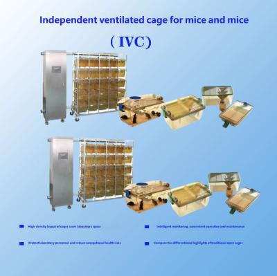 China Fully Automatic IVC System Biosecurity Rodent Housing 120 Cage Capacity Anti-Cross Contamination Lab Animal Equipment for sale