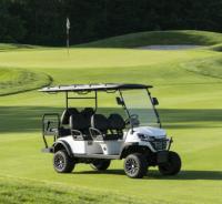China Spacious 6 Seats Off Road Golf Cart Disc Brake Reverse Camera 4 Forward 2 Rear Facing Seats for sale