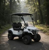 China High Ground Clearance 2 Seater Lifted Golf Carts with Fully Optional Parts for Golf Course 48V 150Ah Battety for sale
