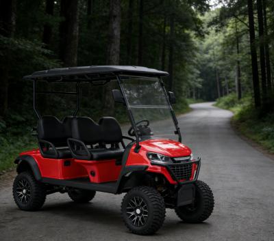 China OEM/ODM Available D1 Series 4 Seats Off Road Golf Buggy Long Range 72V Lithium Battery LAKER AUTO with Free Dust Cover for sale