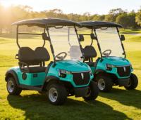 China LAKER AUTO Coastal Light Enjoyment 2-Seater All-Scenario Silent Comfort Customized Lead-acid Battery Electric Golf Cart for sale