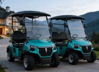 China LAKER AUTO Coastal Light Enjoyment 2-Seater All-Scenario Silent Comfort Customized Lead-acid Battery Electric Golf Cart for sale