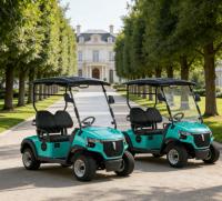 China LAKER AUTO Coastal Light Enjoyment 2-Seater All-Scenario Silent Comfort Customized Lead-acid Battery Electric Golf Cart for sale