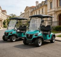 China LAKER AUTO Coastal Light Enjoyment 2-Seater All-Scenario Silent Comfort Customized Lead-acid Battery Electric Golf Cart for sale
