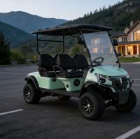 China Multi-scenario adaptable D3 Series 4 Seats Golf Buggy Car with Front Bumper and Rear Tail Light Microfiber Leather Seats for sale