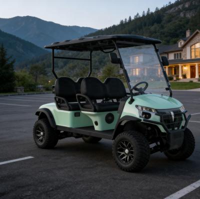 China Multi-scenario adaptable D3 Series 4 Seats Golf Buggy Car with Front Bumper and Rear Tail Light Microfiber Leather Seats for sale