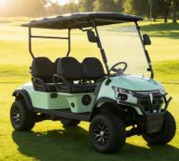 China Multi-scenario adaptable D3 Series 4 Seats Golf Buggy Car with Front Bumper and Rear Tail Light Microfiber Leather Seats for sale