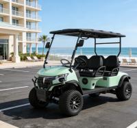 China Multi-scenario adaptable D3 Series 4 Seats Golf Buggy Car with Front Bumper and Rear Tail Light Microfiber Leather Seats for sale