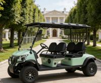 China Multi-scenario adaptable D3 Series 4 Seats Golf Buggy Car with Front Bumper and Rear Tail Light Microfiber Leather Seats for sale