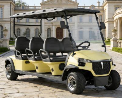 China Stable Chassis D3 6 Seats Luxury-lite appearance Golf Car with Ball Bag Holder and Front Shelf for sale
