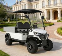 China Stable Handling Seamless Fleet Integration 2 Seats Industry Golf Cart with Aluminum Alloy Box with Tax & Incentive Eligibility for sale