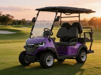 China EcoGlide Pro Elegant 4 Seats Golf Cart Stylish Exterior Design Resort Hotel Shuttle Service for sale