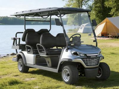 China Multi-scenario 6 Seats Golf Cart with Stable Performance and Long Endurance for sale