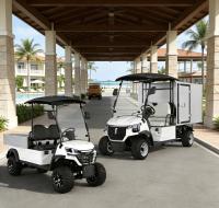 China Compact Footprint 2 Seats Electric Golf Utility With Weatherproof Lockable Cargo Box with Display and Bluethooth Roof Warning Lights for sale