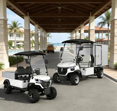 China Compact Footprint 2 Seats Electric Golf Utility With Weatherproof Lockable Cargo Box with Display and Bluethooth Roof Warning Lights for sale